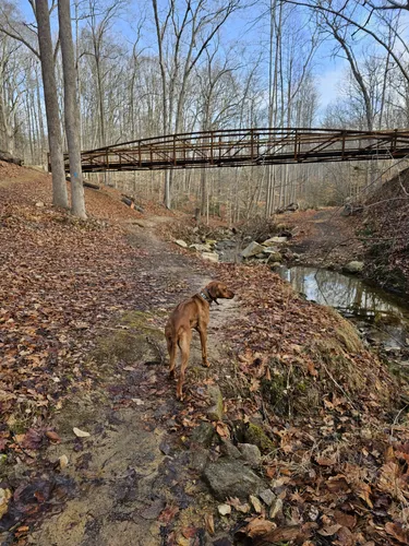 Best Hikes and Trails in Lake Ridge Community Park | AllTrails