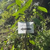 Lata Gapi Waterfall, Selangor, Malaysia - 186 Reviews, Map | AllTrails