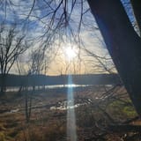 Arcola Bluffs Trail, Minnesota - 196 Reviews, Map | AllTrails