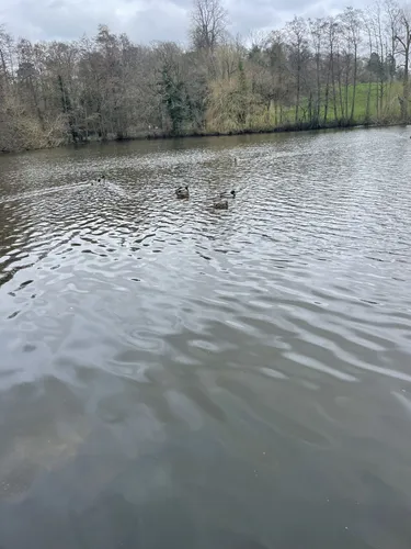 Best Hikes and Trails in Elmdon Park | AllTrails