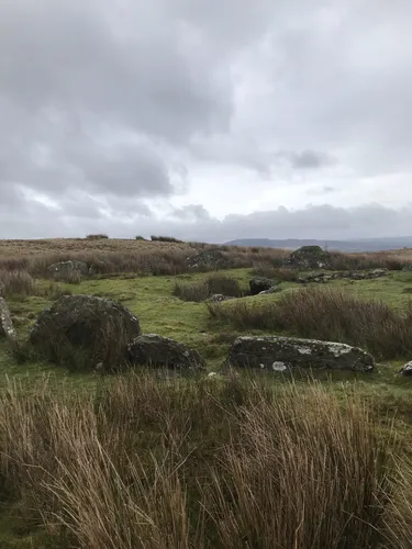 Best Hikes and Trails in Cwm Clydach Nature Reserve | AllTrails