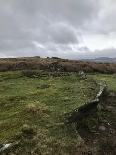 Best Hikes and Trails in Cwm Clydach Nature Reserve | AllTrails