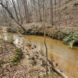 Bridge Loop Trail and Lake Loop Trail, Georgia - 840 Reviews, Map ...