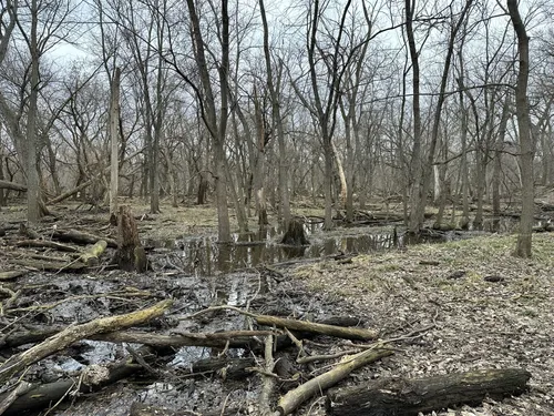 Best Hikes and Trails in Thatcher Woods Glen | AllTrails