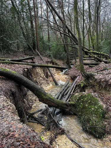 Best Hikes and Trails in Tilgate Park | AllTrails