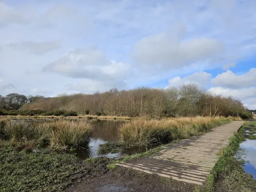 Best Hikes and Trails in Sutton Park | AllTrails