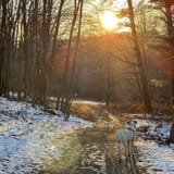 Hashawha Loop Trail, Maryland - 968 Reviews, Map | AllTrails