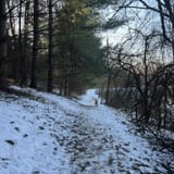 Hashawha Loop Trail, Maryland - 968 Reviews, Map | AllTrails