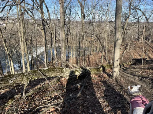 Best Hikes and Trails in Lock 60 Schuylkill Canal Park | AllTrails