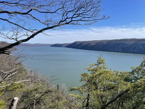 Best Hikes and Trails in Chestnut Grove Natural Area | AllTrails