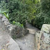 Reef Bay Trail, Saint John, US Virgin Islands - 1,015 Reviews, Map ...