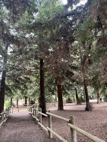 Best River Trails in Yorba Linda | AllTrails