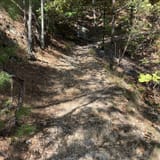 Goat Rock Trail, Arkansas - 1,391 Reviews, Map | AllTrails