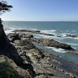 Cape Arago Loop Trail, Oregon - 437 Reviews, Map | AllTrails