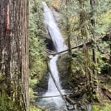 Murhut Falls Trail, Washington - 885 Reviews, Map | AllTrails