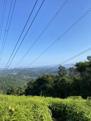 10 Best Forest Trails in Dengkil | AllTrails