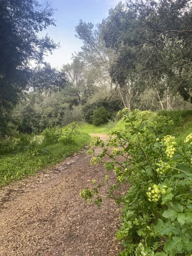 Best Lake Trails in Monsanto Forest Park | AllTrails