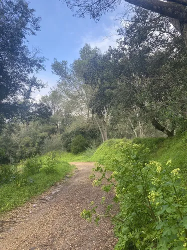 Best Lake Trails in Monsanto Forest Park | AllTrails