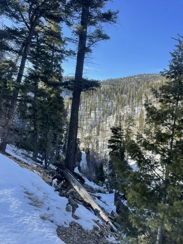 Best Off Road Driving Trails in Red River | AllTrails