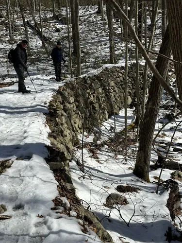 Best Camping Trails in Kent Cliffs | AllTrails