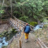 Upper Big Creek Loop, Washington - 2,612 Reviews, Map | AllTrails