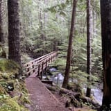 Upper Big Creek Loop, Washington - 2,612 Reviews, Map | AllTrails