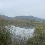 Barbara's Lake Loop Trail, California - 929 Reviews, Map | AllTrails