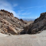 Grapevine Canyon Trail, Nevada - 542 Reviews, Map | AllTrails