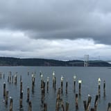 Titlow Park, Washington - 607 Reviews, Map | AllTrails