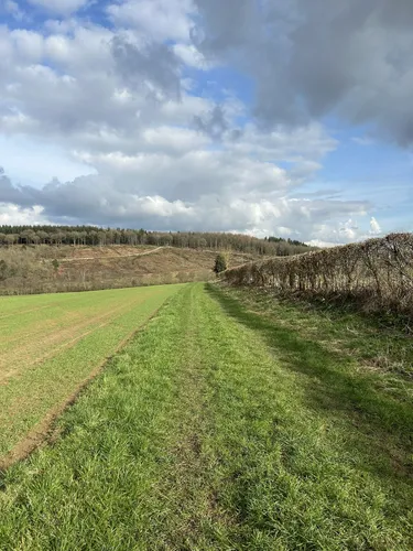 10 Best Bird Watching Trails in Howardian Hills National Landscape ...