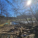 Bendix Woods Mountain Bike Trail, Indiana - 60 Reviews, Map | AllTrails