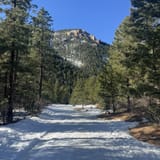 Seven Bridges Trail, Colorado - 7,081 Reviews, Map | AllTrails