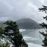 Cape Falcon Trail, Oregon - 3,640 Reviews, Map | AllTrails