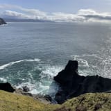 Cape Falcon Trail, Oregon - 3,640 Reviews, Map | AllTrails