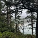 Cape Falcon Trail, Oregon - 3,640 Reviews, Map | AllTrails