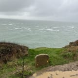 Durlston Country Park Coastal Walk, Dorset, England - 98 Reviews, Map ...