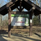 Springer Mountain, Georgia - 686 Reviews, Map | AllTrails