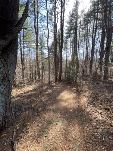 Best Hikes and Trails in Ashland Nature Center | AllTrails