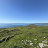 Tomales Point Trail, California - 6,287 Reviews, Map | AllTrails