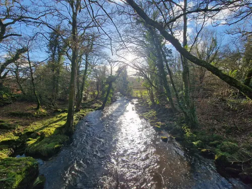 10 Best Trails and Hikes in Devon | AllTrails