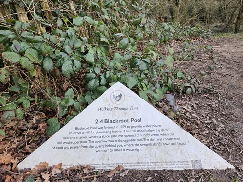 Best Hikes and Trails in Sutton Park | AllTrails