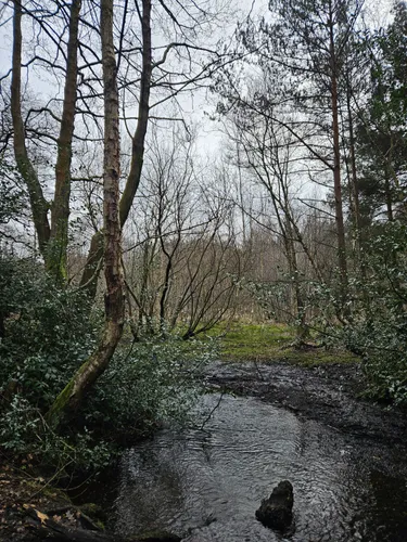 Best Hikes and Trails in Sutton Park | AllTrails