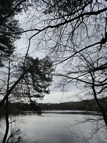 Best Hikes and Trails in Sutton Park | AllTrails