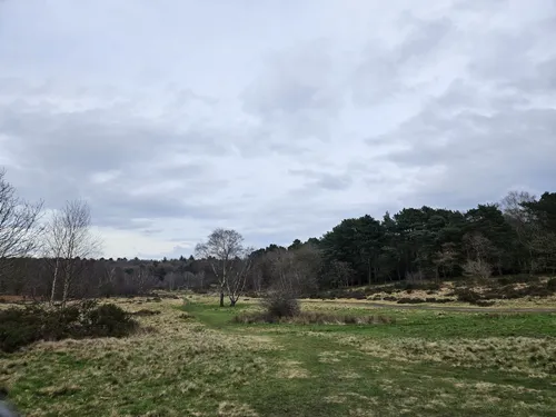 Best Hikes and Trails in Sutton Park | AllTrails