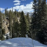 Purgatory Trail, Colorado - 969 Reviews, Map | AllTrails