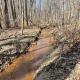 Bacon Ridge Trail: Phase 3, Maryland - 2,308 Reviews, Map | AllTrails