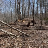 Bacon Ridge Trail: Phase 3, Maryland - 2,308 Reviews, Map | AllTrails