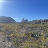 Mule Ear Spring, Texas - 471 Reviews, Map | AllTrails