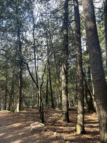 Best Hikes and Trails in Red Rocks Park | AllTrails