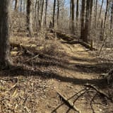 Rocky Run Loop, Delaware - 966 Reviews, Map | AllTrails
